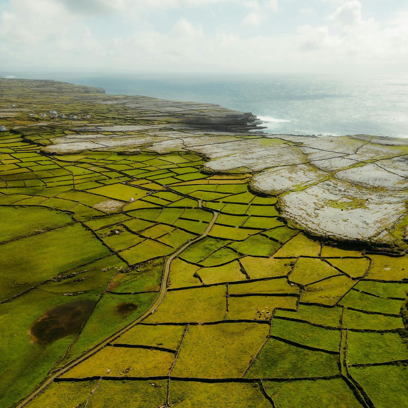 Why Study in Ireland | Education Ireland